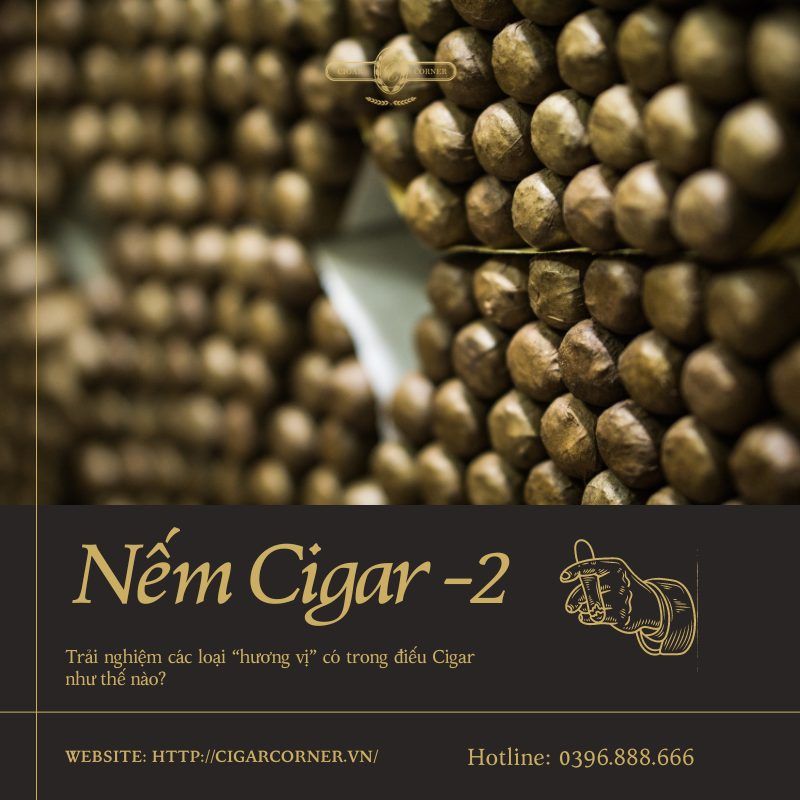 "NẾM" THỬ CIGAR ĐỂ NHẬN BIẾT ĐỘ NGON || 2 – Cigar Corner