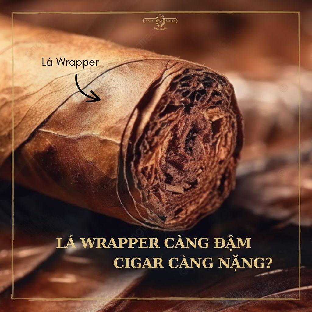 LÁ WRAPPER CÀNG ĐẬM, CIGAR CÀNG NẶNG? – Cigar Corner