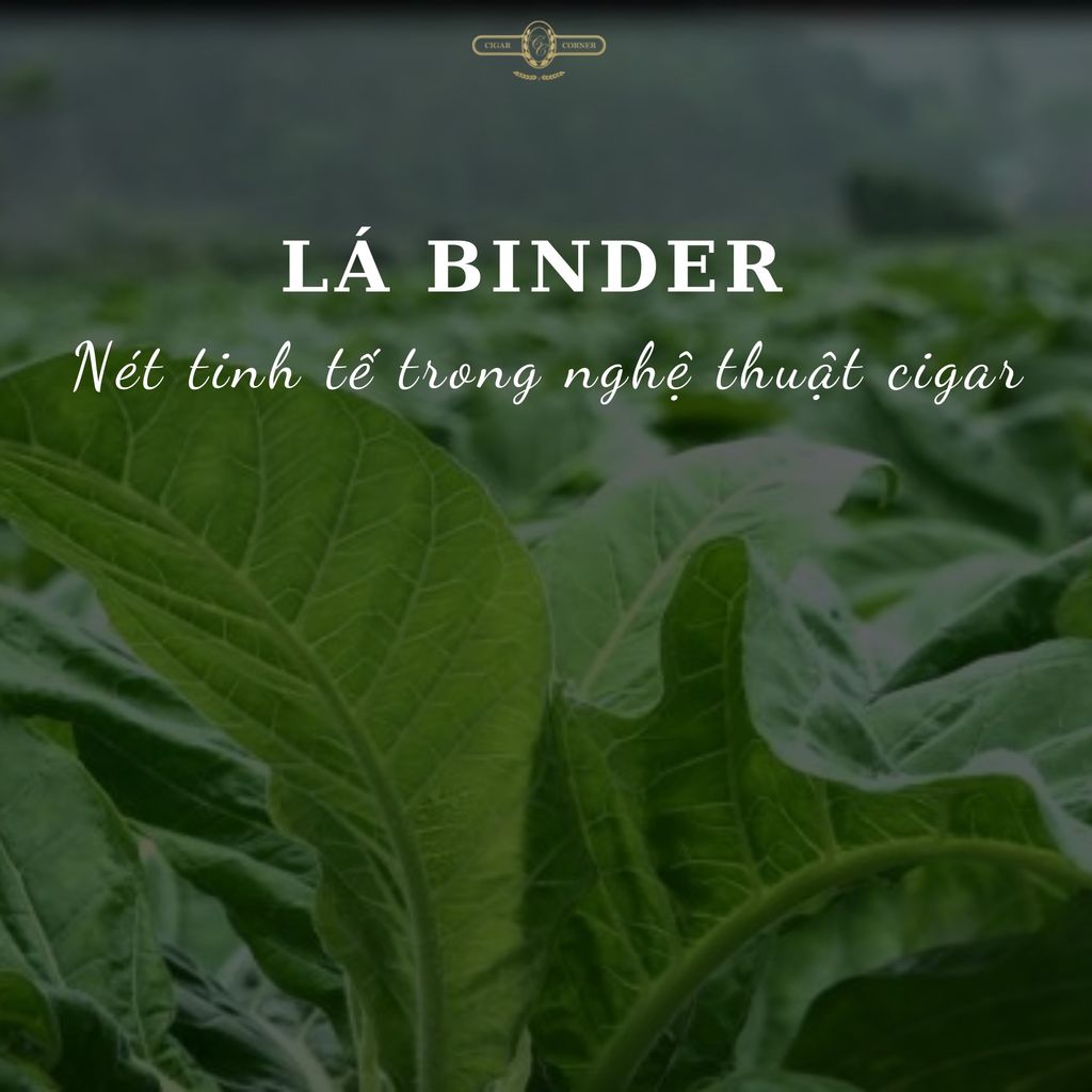 LÁ BINDER: NÉT TINH TẾ TRONG NGHỆ THUẬT CIGAR – Cigar Corner