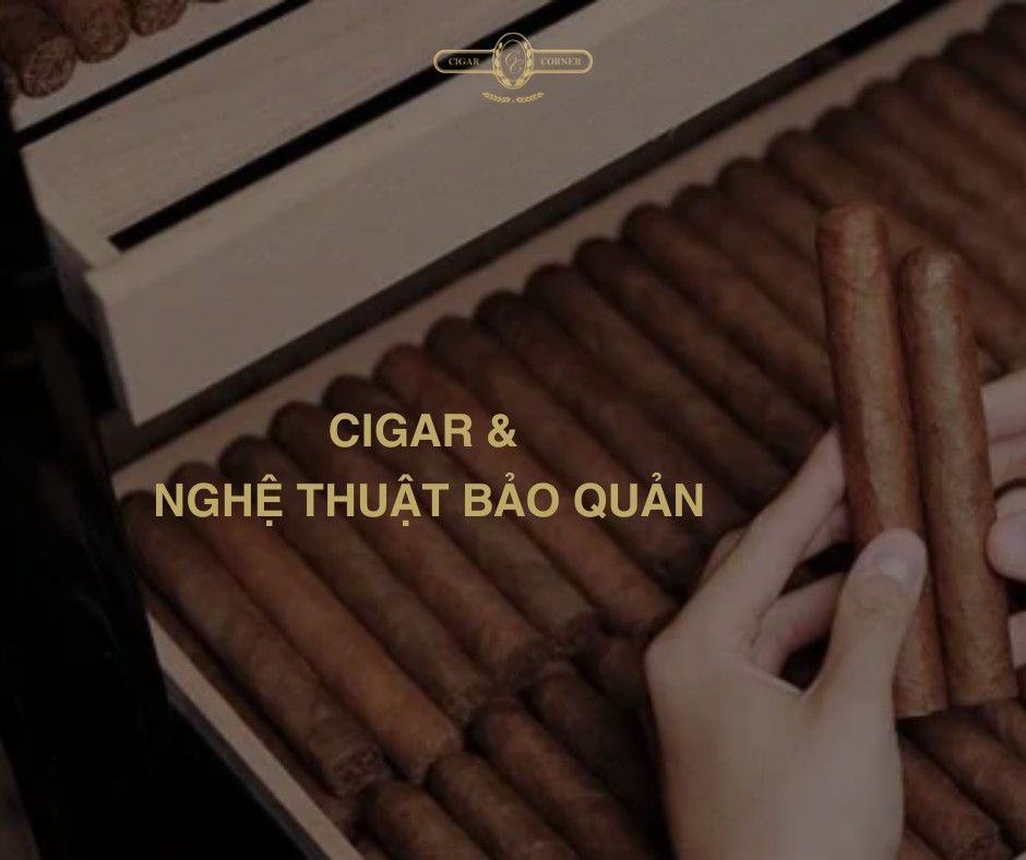 CIGAR & NGHỆ THUẬT BẢO QUẢN – Cigar Corner
