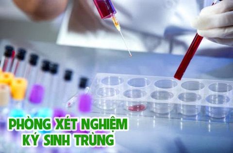Hiện tượng “Prozone” trong các test chẩn đoán nhanh sốt rét Trung tâm ...