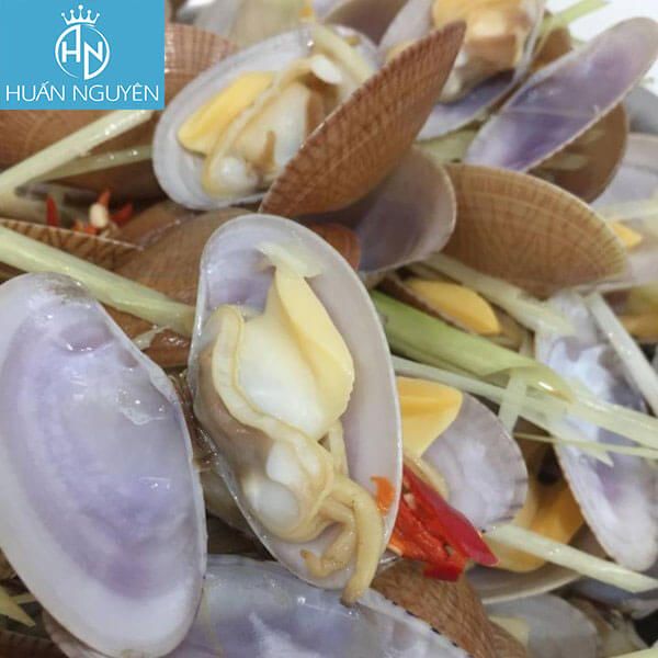 Sò Lụa Sống Mua Ở Đâu Giá Rẻ, Sò Lụa Sống Tươi Ngon, Thịt Dai Bổ Dưỡng