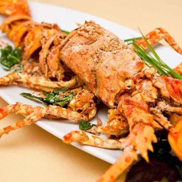 Tôm Hùm Ngộp Giá Bao Nhiêu 1Kg Ở Nha Trang, Phú Yên, TPHCM, Hà Nội