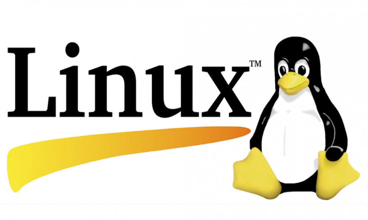 Top 10 Distro Linux Đẹp, Nhẹ, Dễ Sử Dụng Cho Dân IT (Miễn Phí) – Vương ...