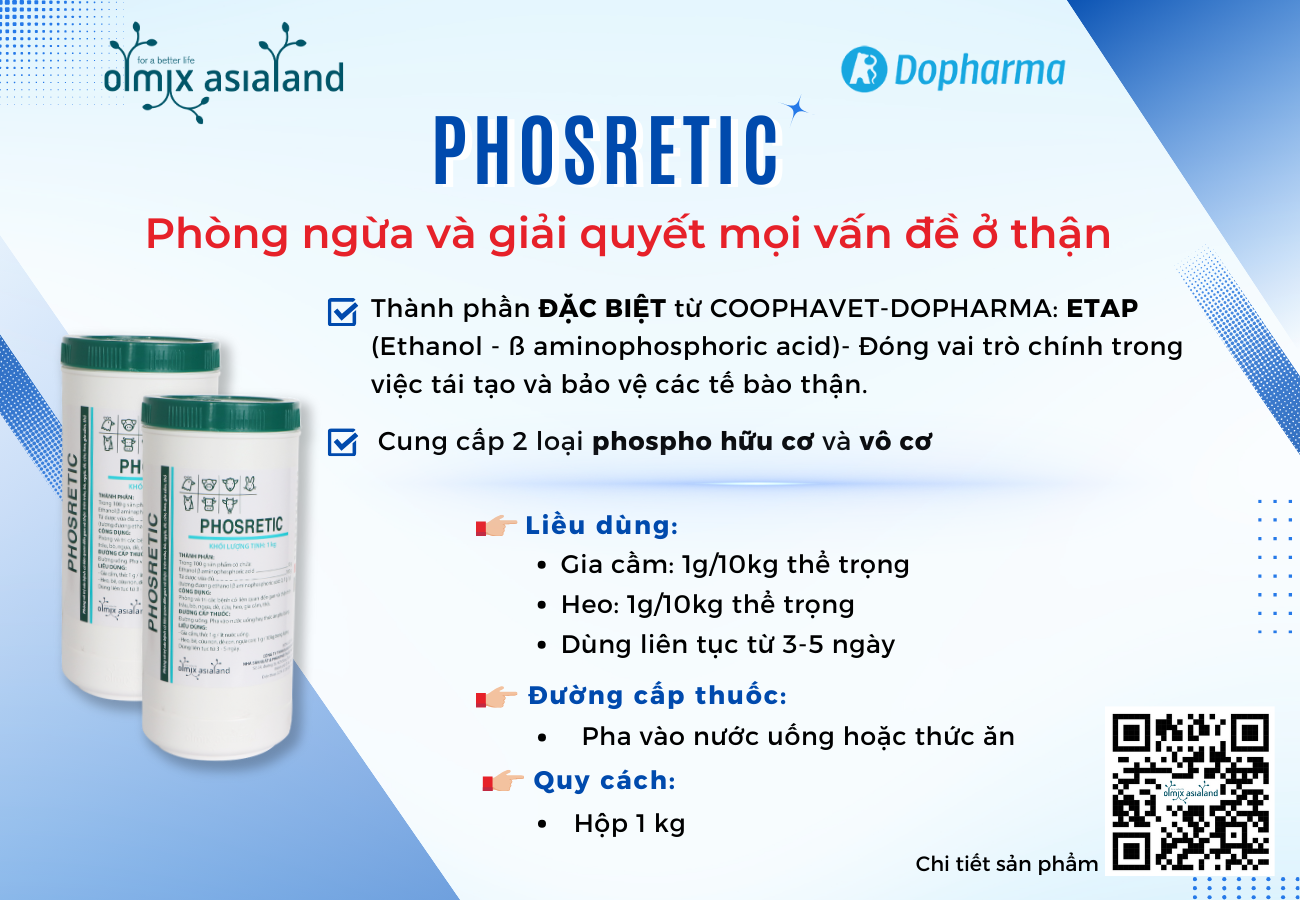 GIẢI ĐỘC THẬN TRONG CHĂN NUÔI GIA CẦM – VIPHAVET