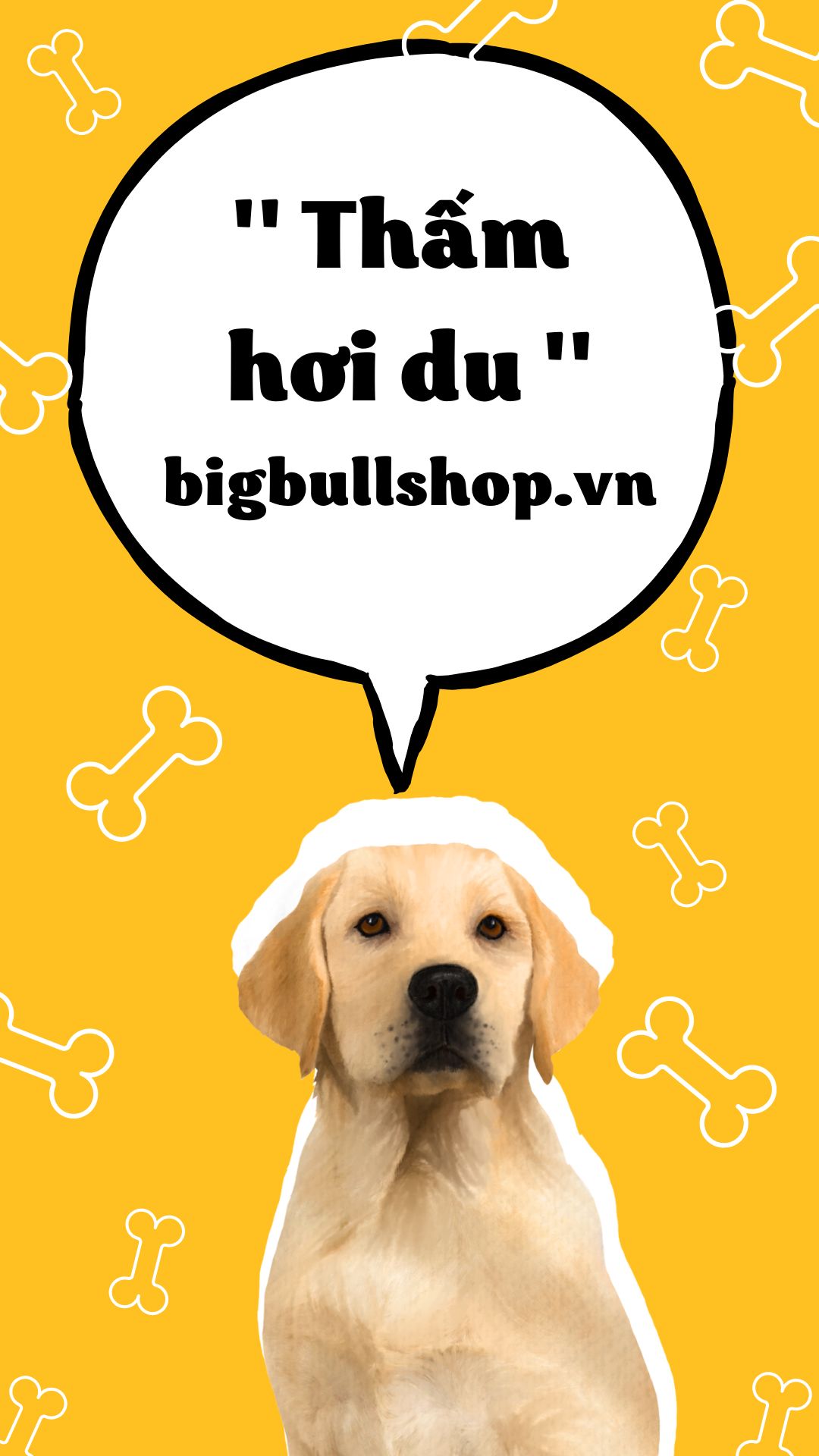 bigbullshop
