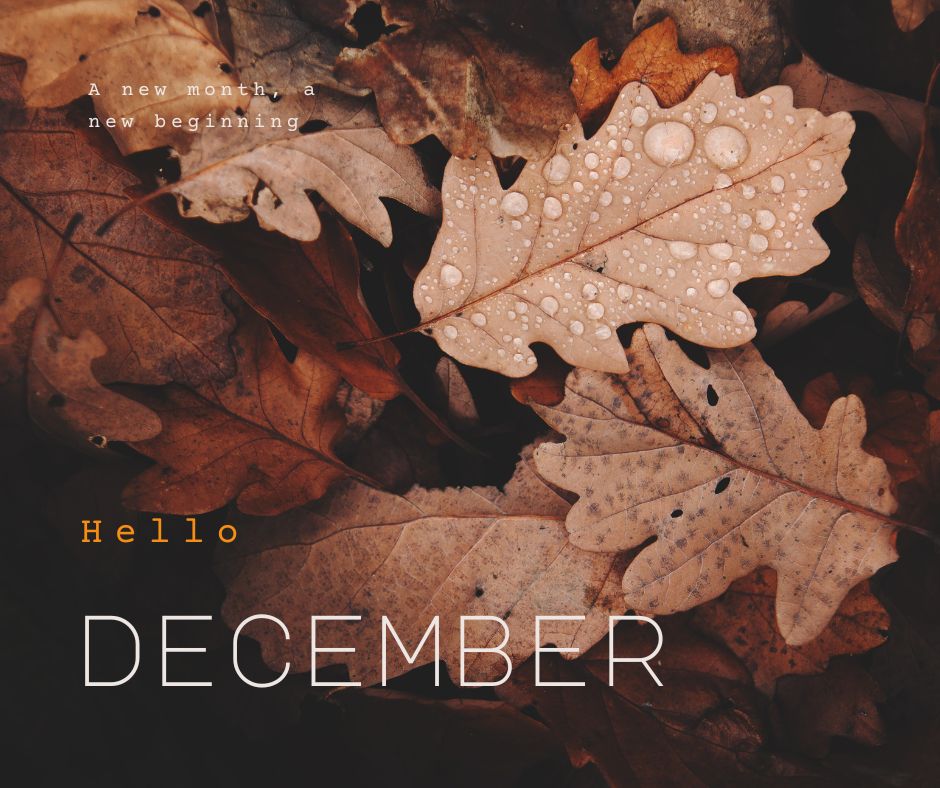 Hello December... – bigbullshop