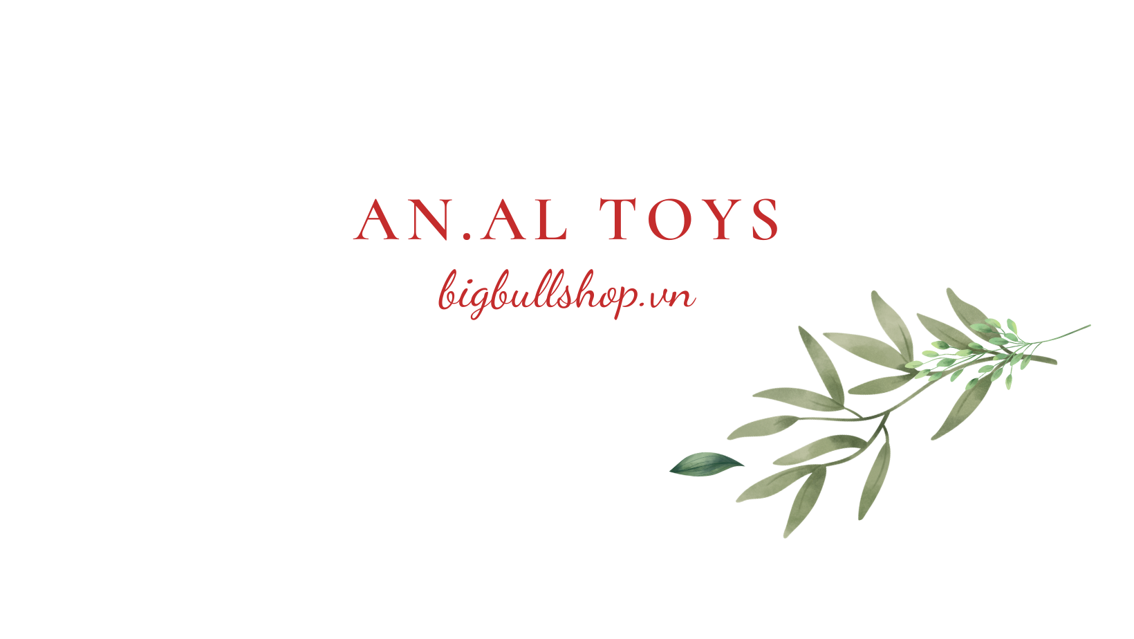 Toys : Jeusn Anal Vibration – bigbullshop