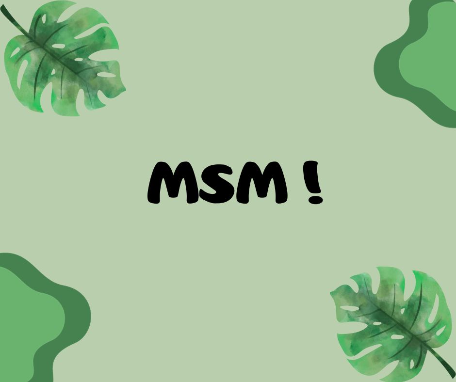 MSM ! – bigbullshop