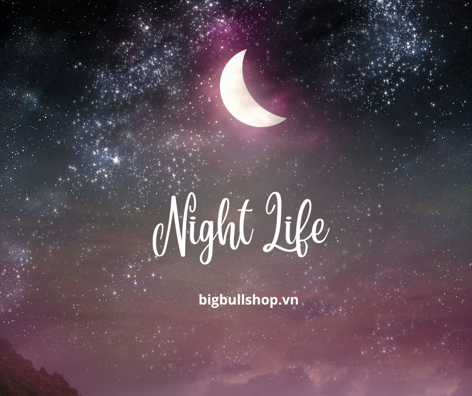 Night Life – bigbullshop