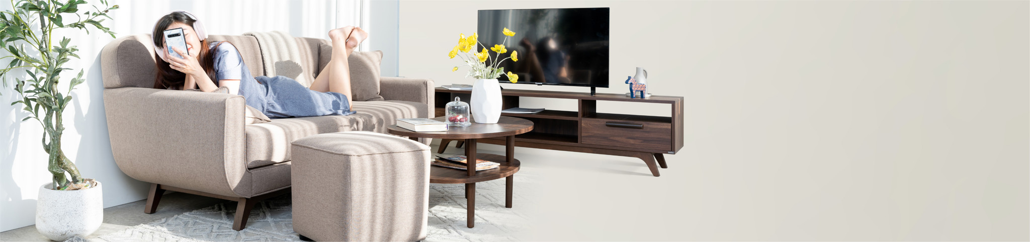 Koster Collection