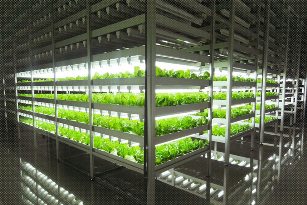 Công suất của bong den led 1m2 bao nhieu w?