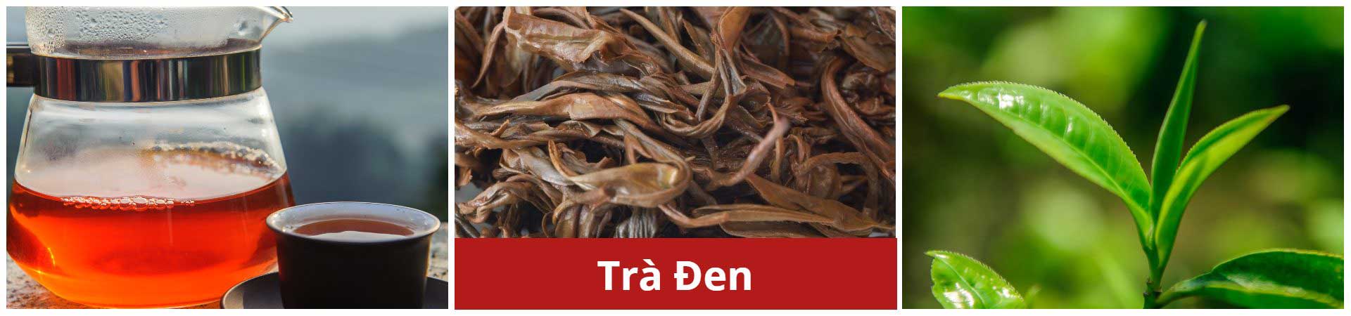 Trà Đen – Hatvala Tea and Coffee