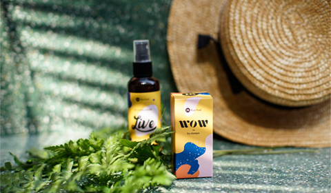 #SUMMERESSENTIALS: WOW Dry shampoo & Live antibacterial spray l BareSo ...