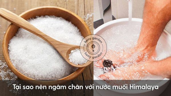 Bị Gút Có Nên Ngâm Chân Không? Hiệu Quả Của Muối Ngâm Chân