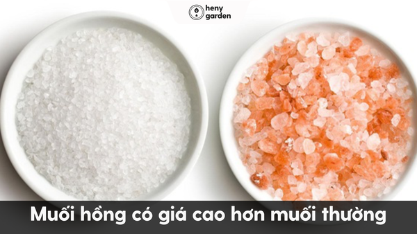 Bật Mí Cách Sử Dụng Muối Hồng, Bảo Bối Đa Năng cho Sức Khỏe Và Sắc Đẹp