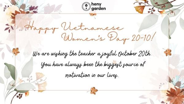 Top 99+ Lời Chúc 20/10 Bằng Tiếng Anh Cho Cô Giáo Hay Và Sâu Sắc Nhất