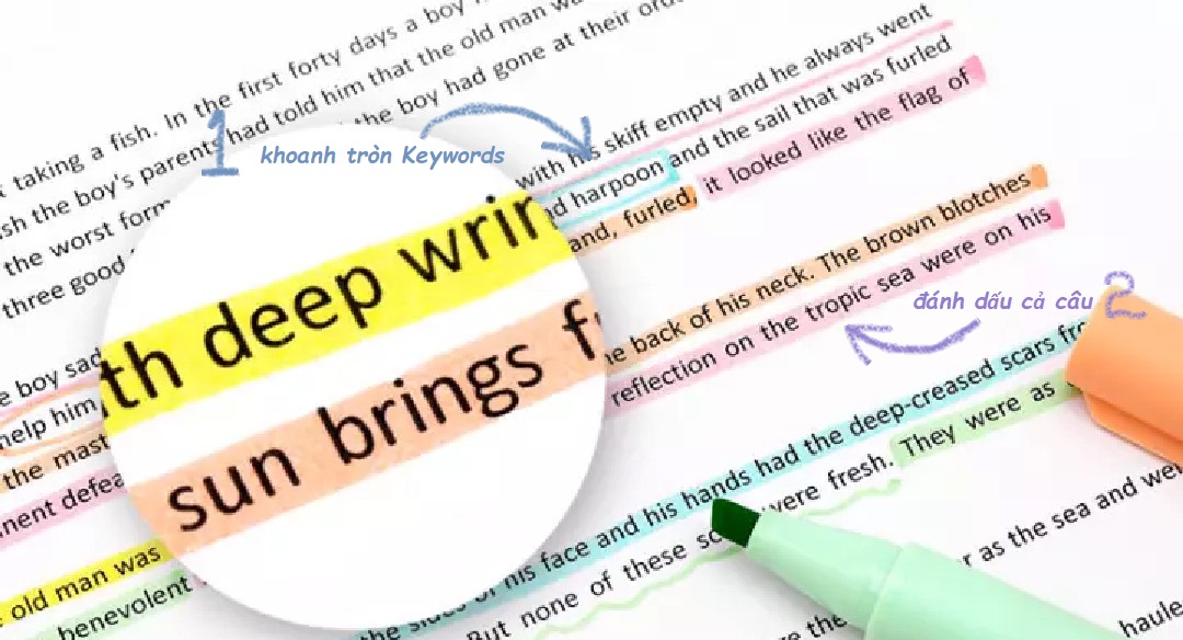 Bút highlight là bút gì? 3 lưu ý cách sử dụng bút Highlight hiệu quả ...