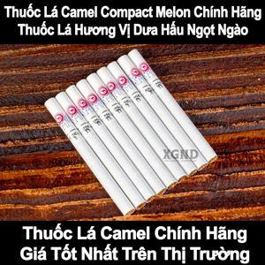 Camel Compact Melon - Đẳng Cấp Hương Vị Dưa Hấu trong Mỗi Hơi Thở