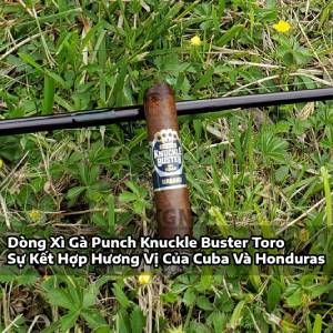 Dòng Xì Gà Punch Knuckle Buster Toro - Hương Vị Của Cuba Và Honduras