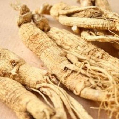 Tìm hiểu về hồng sâm Hàn Quốc – KGC Jung Kwan Jang Việt Nam Official ...