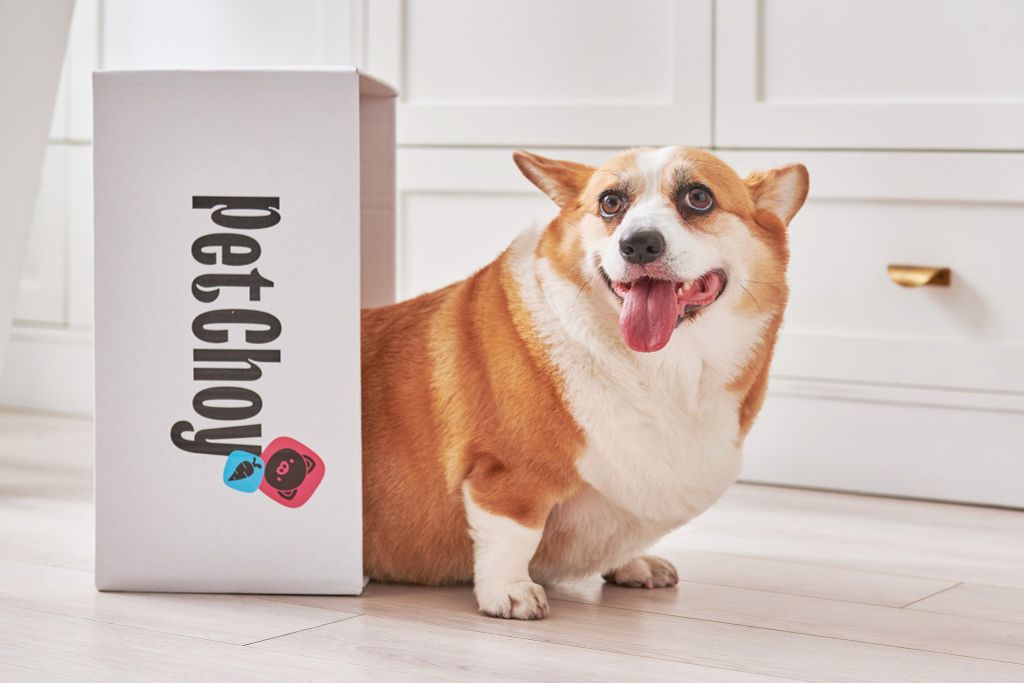 THỨC ĂN CHÓ MÈO KHÔNG CÂN BẰNG DINH DƯỠNG CHỈ PHÍ TIỀN VÔ ÍCH! – Pet Choy