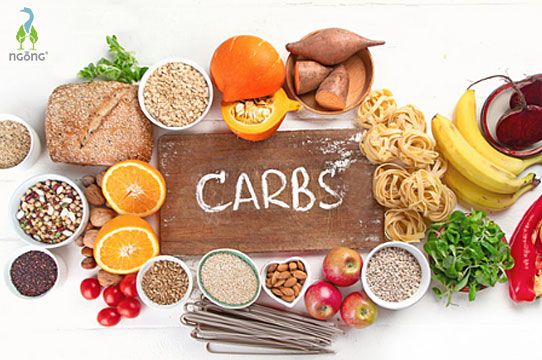 Glucid (Carbohydrate) là gì?