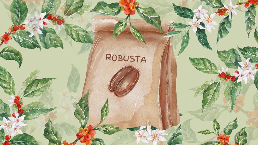 Cà phê Robusta: Thay đổi định kiến để khám phá những tiềm năng ...