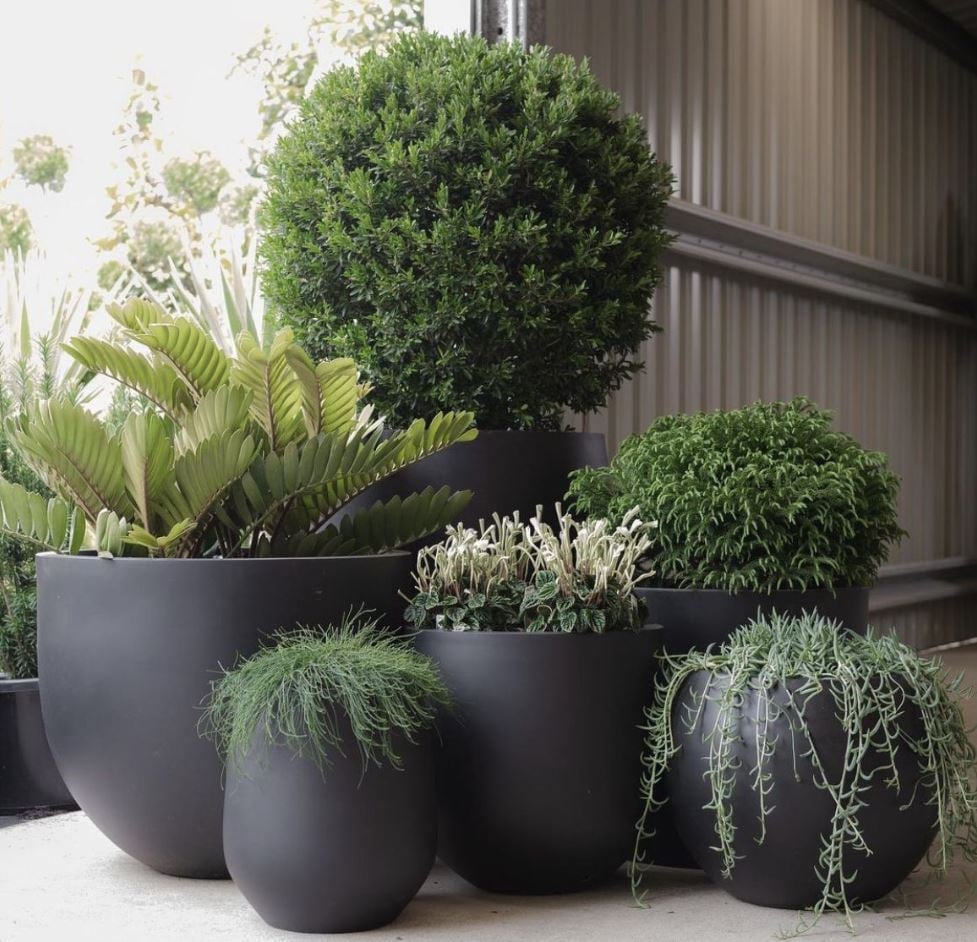 The Ultimate Guide to Planter Pot Types, Materials & Designs – Aurora Pots