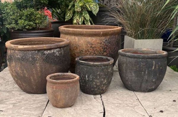 All about Atlantic Planter Pot – Aurora Pots