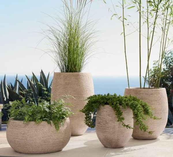 The Ultimate Guide to Planter Pot Types, Materials & Designs – Aurora Pots