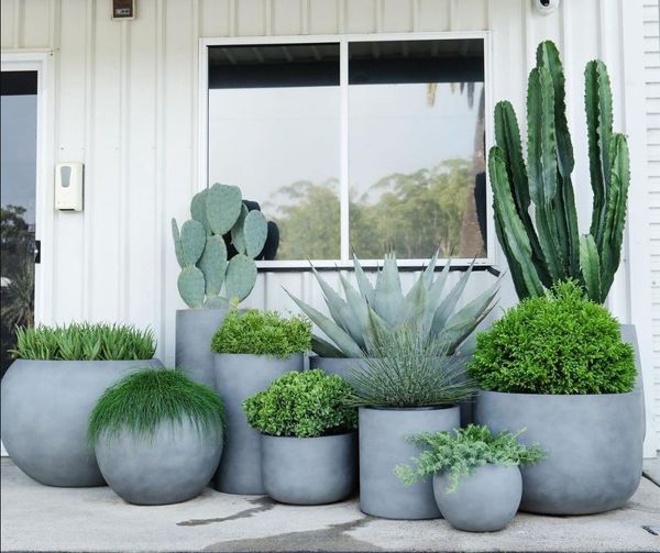 The Ultimate Guide to Planter Pot Types, Materials & Designs – Aurora Pots