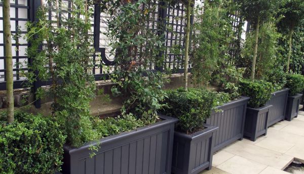 All About Metal Plant Pots – Aurora Pots