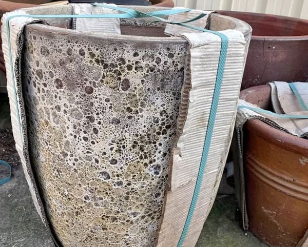 All about Atlantic Planter Pot – Aurora Pots