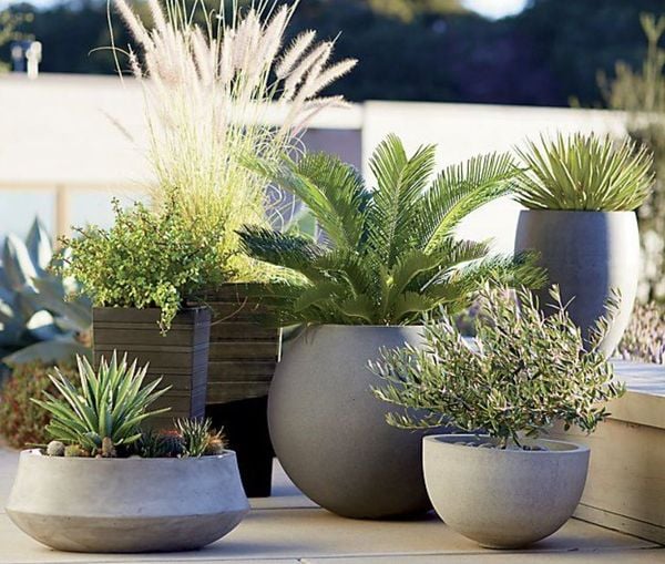The Ultimate Guide to Planter Pot Types, Materials & Designs – Aurora Pots