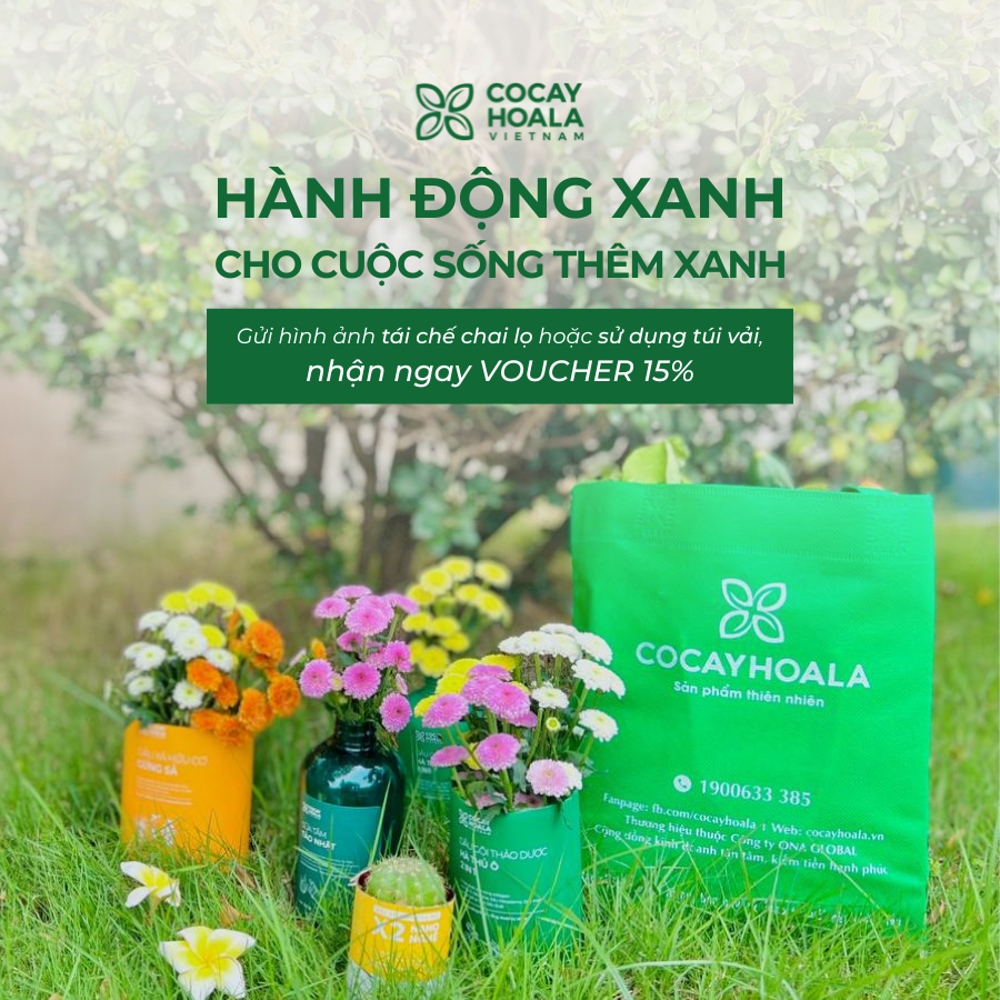 ThÀnh QuẢ CỦa CỎ C Y Hoa LÁ Sau 30 NgÀy PhÁt ĐỘng ChƯƠng TrÌnh ‘hÀnh Đ Cỏ Cây Hoa Lá