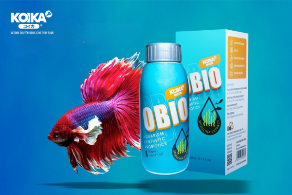 Tại Sao Mọi Người Nên Lựa Chọn Men Vi Sinh Koika OBIO – Men vi sinh cho ...