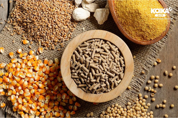 Top Những Loại Thức Ăn Cho Cá Rồng Lên Màu Tự Nhiên – Men vi sinh cho ...