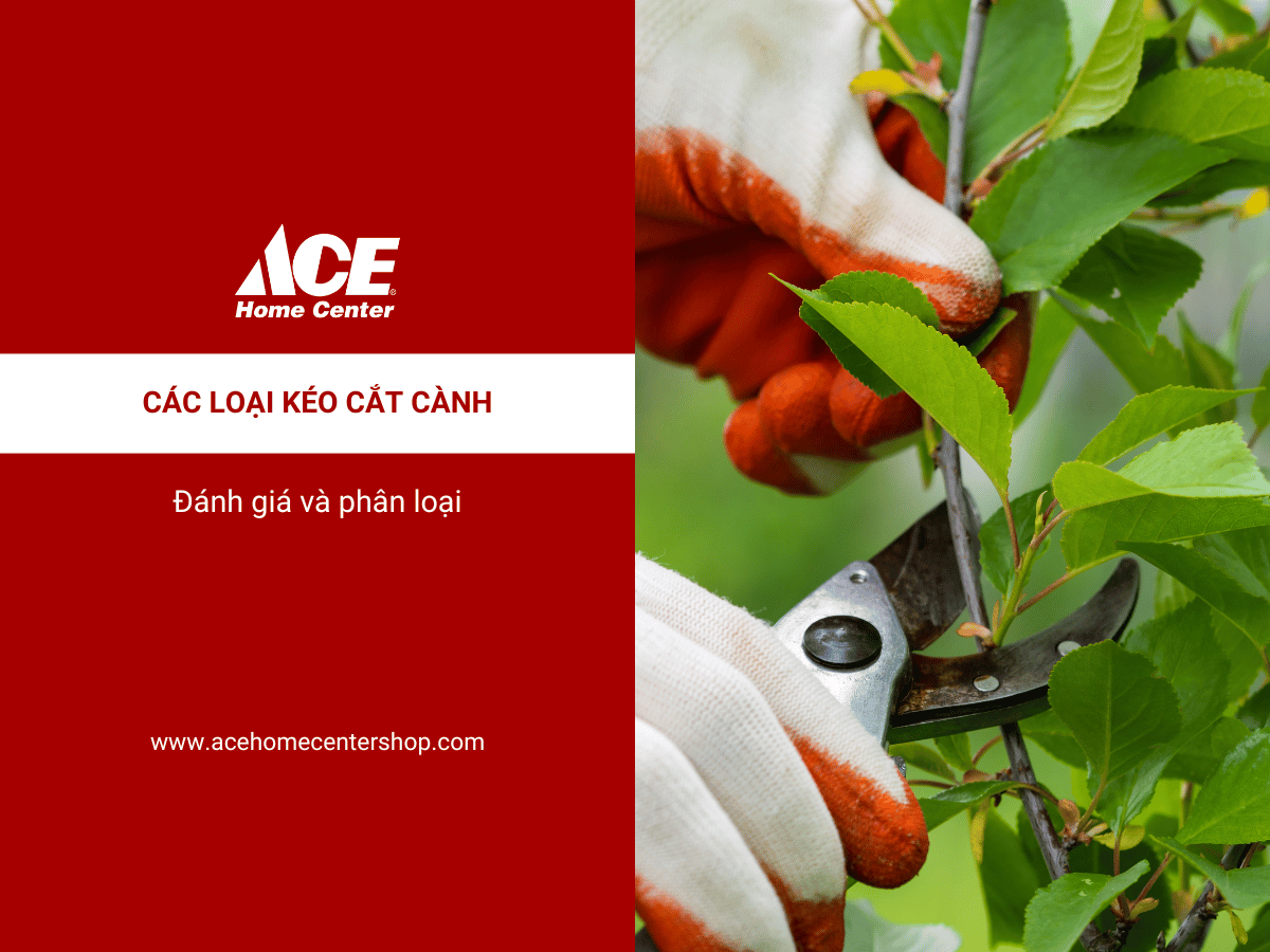 Các loại kéo cắt cành: Đánh giá và phân loại - ACE Home Center VN