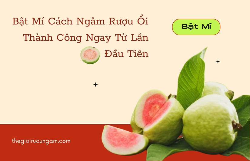 Bật Mí Cách Ngâm Rượu Ổi Dễ Thực Hiện, Thành Công Ngay