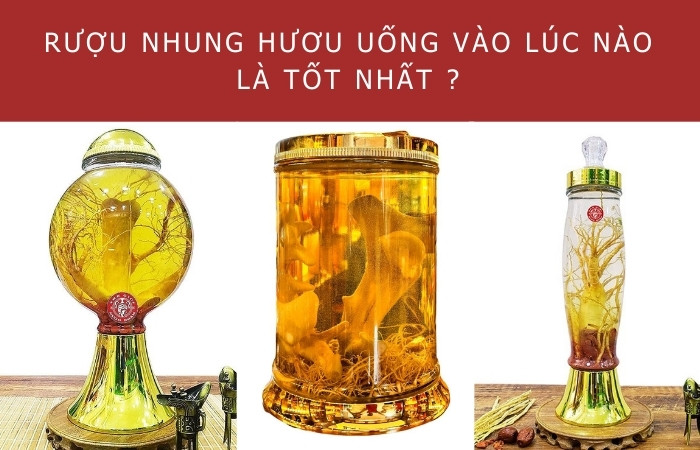 Rượu nhung hươu uống vào lúc nào là tốt nhất?