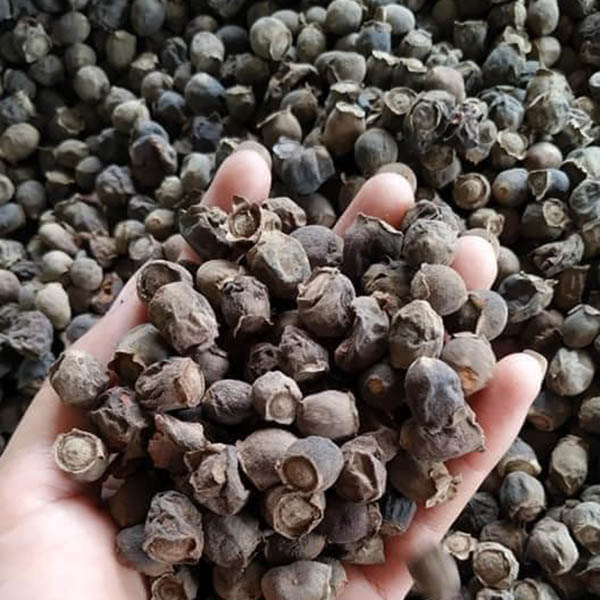 Sim Rừng Khô | Bình Rượu Sim Rừng Ngâm Sẵn