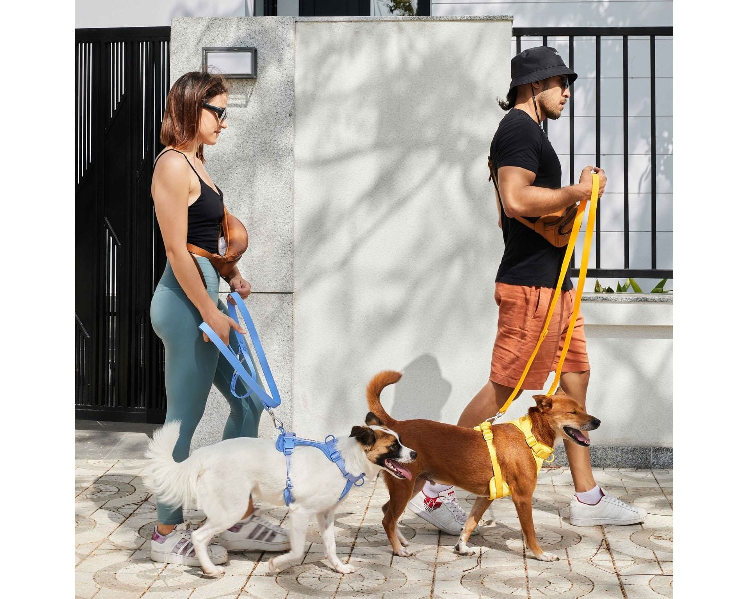 Tại Sao Nên Dắt Chó Đi Dạo - Lợi Ích Và Những Lưu Ý Cần Biết – Furry