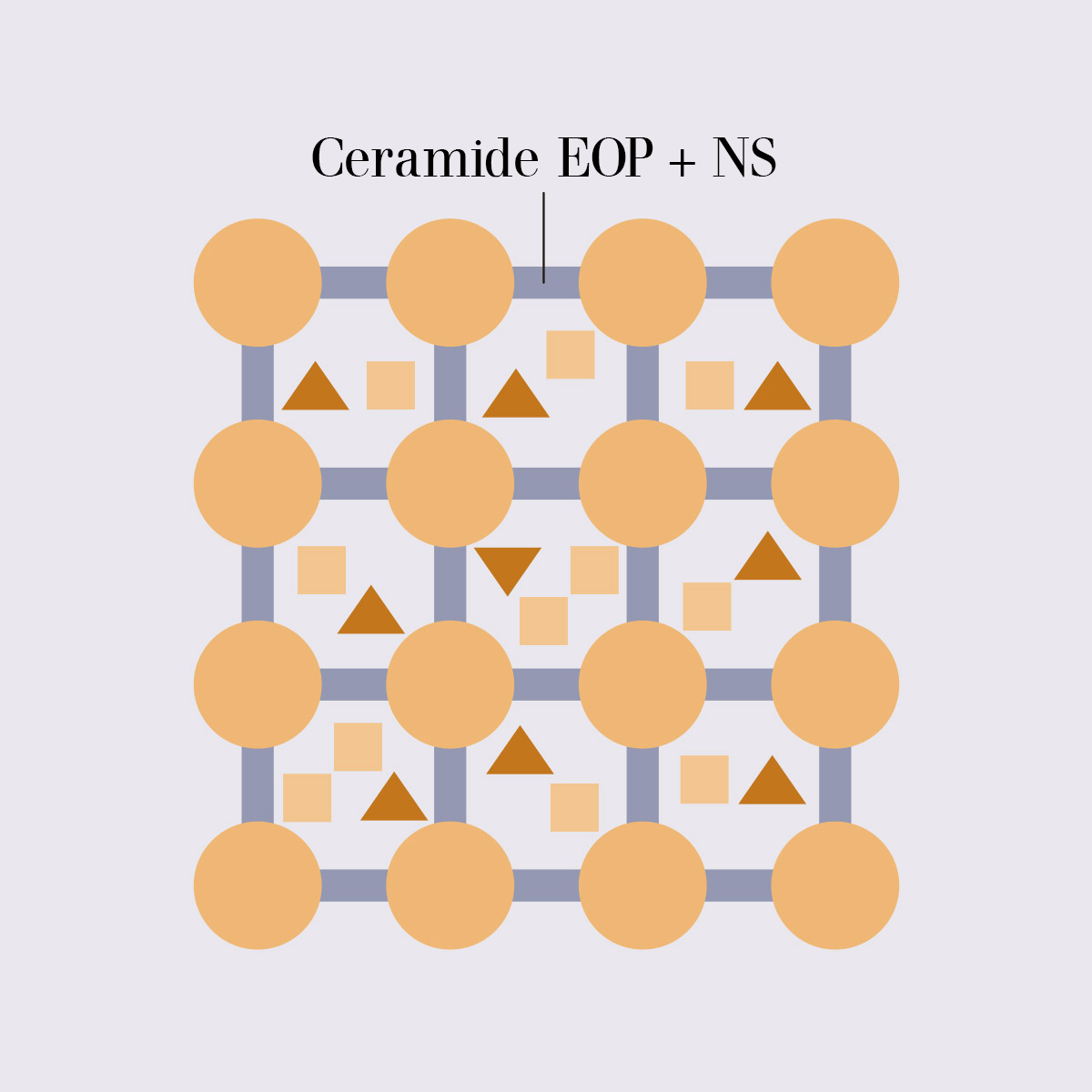 Lotion dưỡng khoá ẩm Ceramide SC-Barrier Emulsified Moisturizer ...