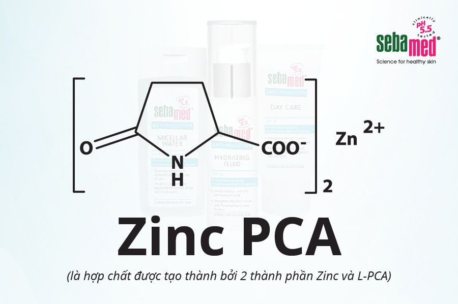 Zinc PCA - Hoạt Chất Vàng Cho Làn Da Mụn, Dầu Nhờn – TRUEBEAUTY.VN