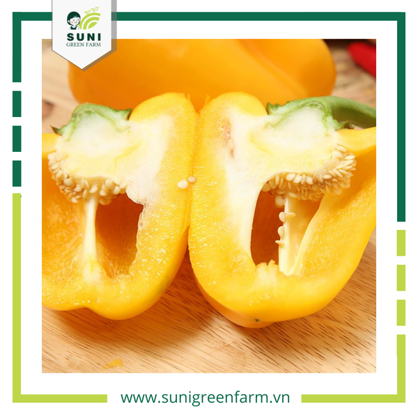 Ớt chuông vàng hữu cơ – SUNI GREEN FARM
