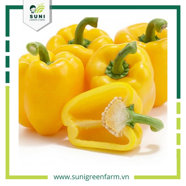 Ớt chuông vàng hữu cơ – SUNI GREEN FARM
