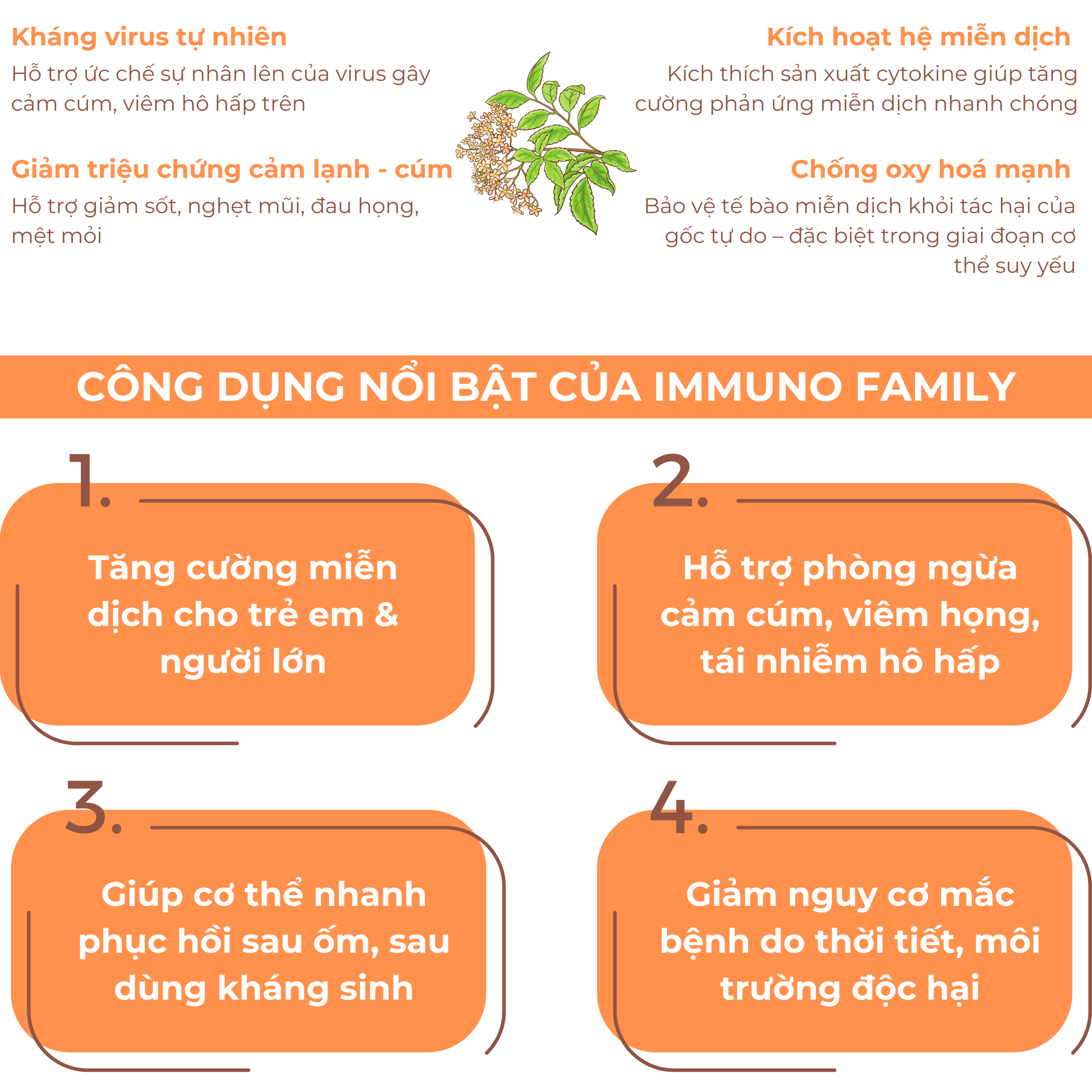 Immuno Family – Dược Hoàng Vũ
