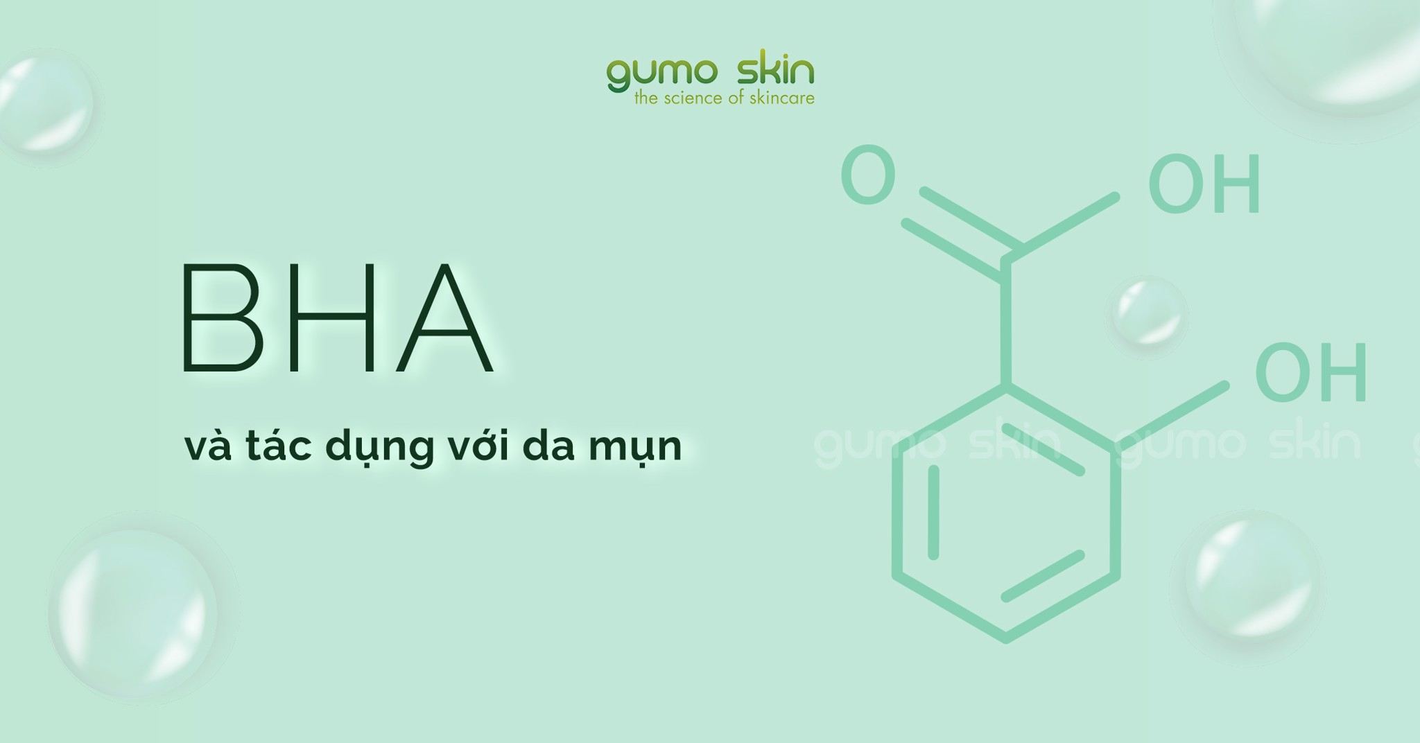 BHA là gì trong mỹ phẩm? BHA có tác dụng gì đối với da mụn? – GumoSkin