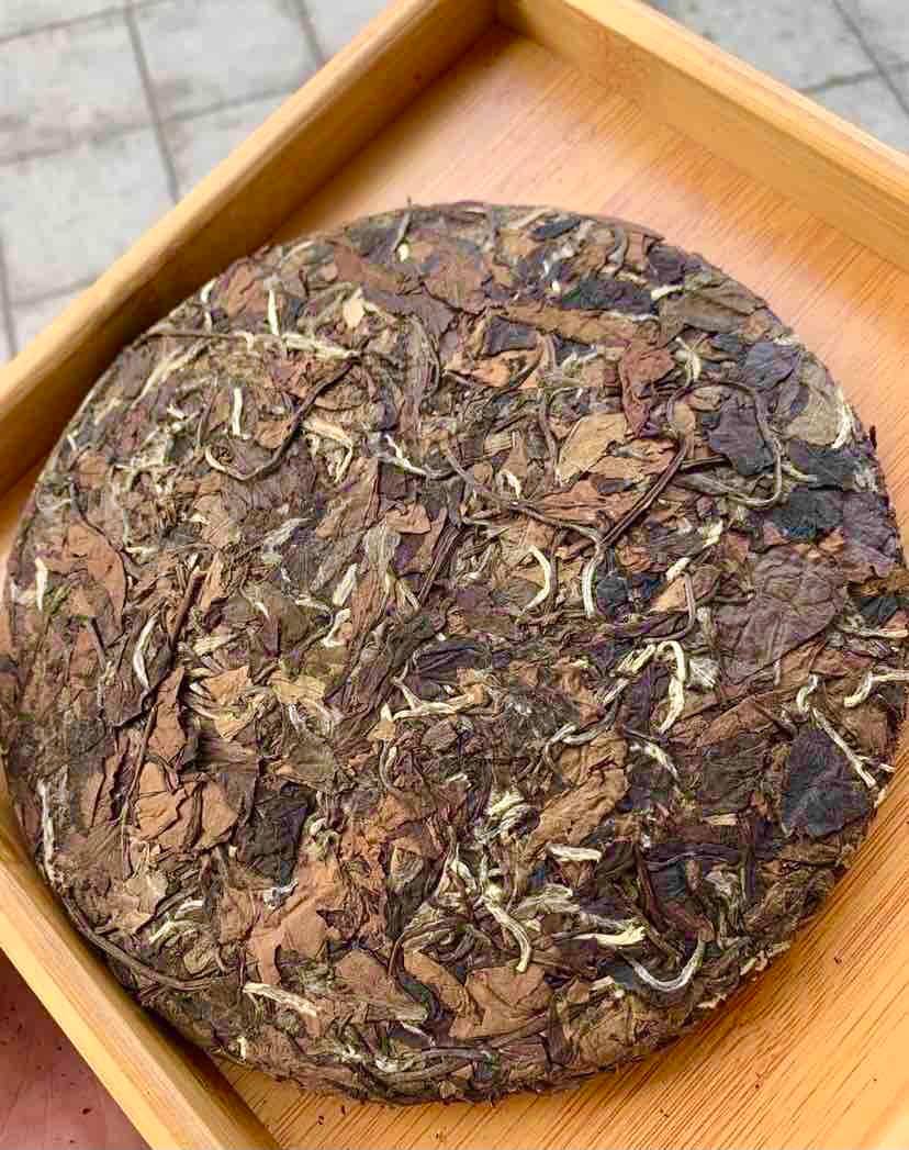 Bạch Trà (Trà Trắng) – Thanh Phương Trà